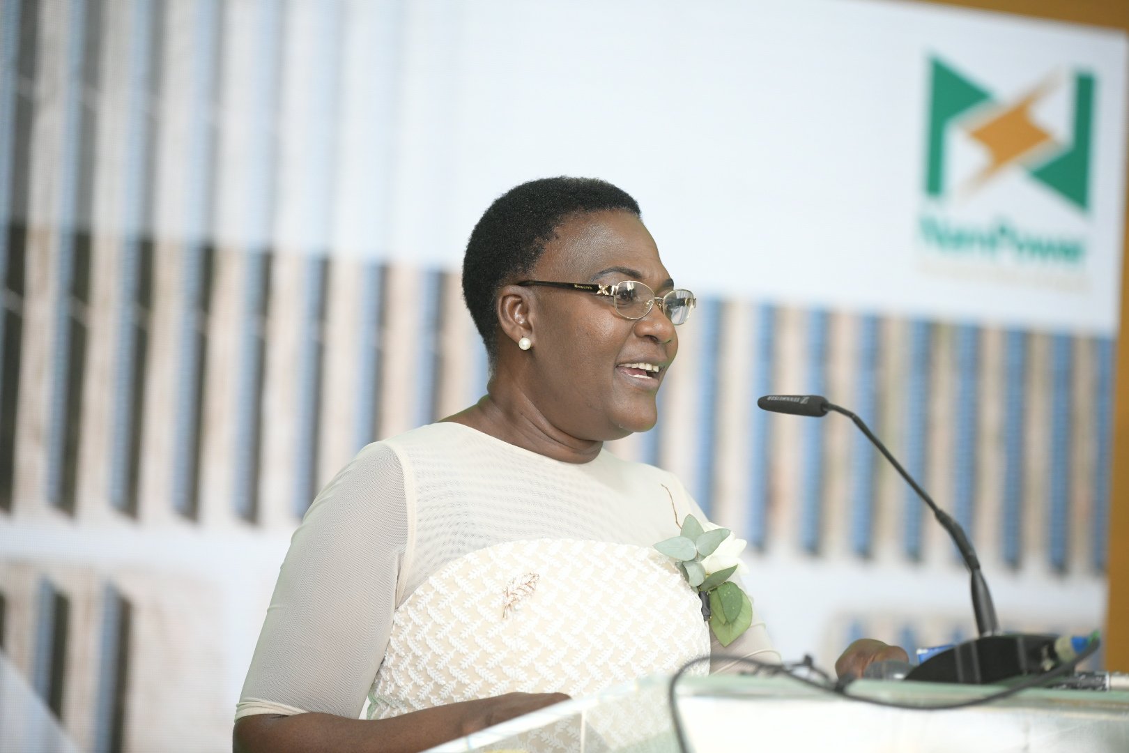 Nampower Inaugurates N$317 million Omburu 20 MW PV Power Station – Eagle FM