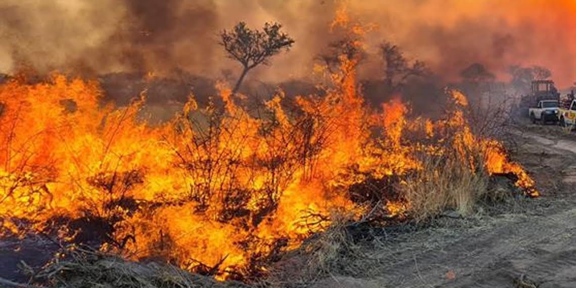 Veld Fires Eat Up 920 944ha of Land – Eagle FM
