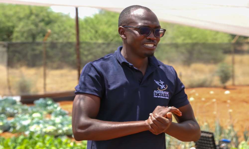 Opinion: Transforming Namibian rural areas through agriculture – Eagle FM