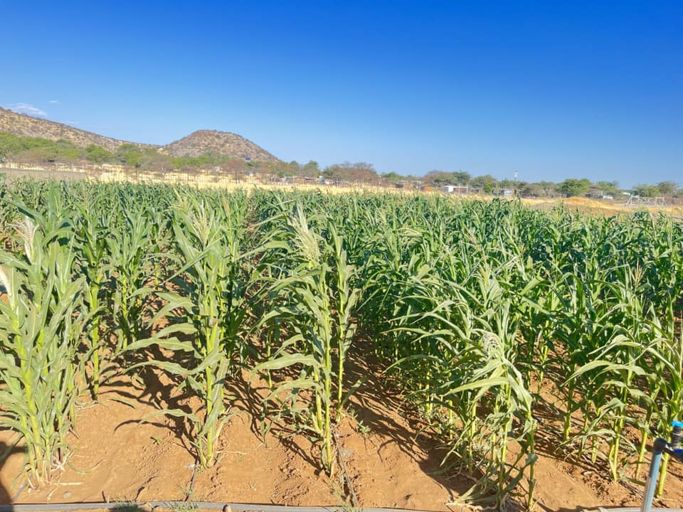 Government Hands Over N$12 Million Fransfontein Project – Eagle FM