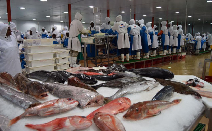 Fish Landings Decline Dominated 2022 …as Nam masbanger import shoot up ...