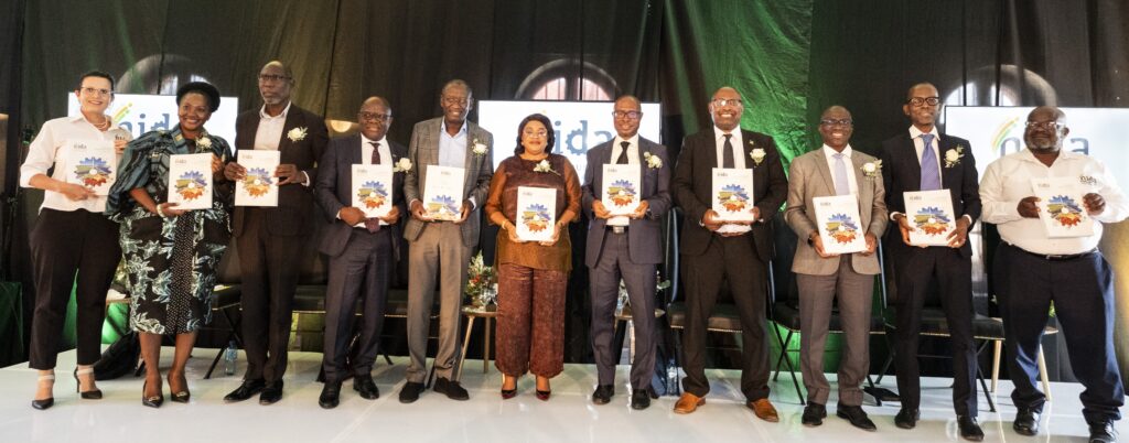 Shiimi Raps NIDA Over Knuckles For N$3 Billion Non-Performing Assets ...